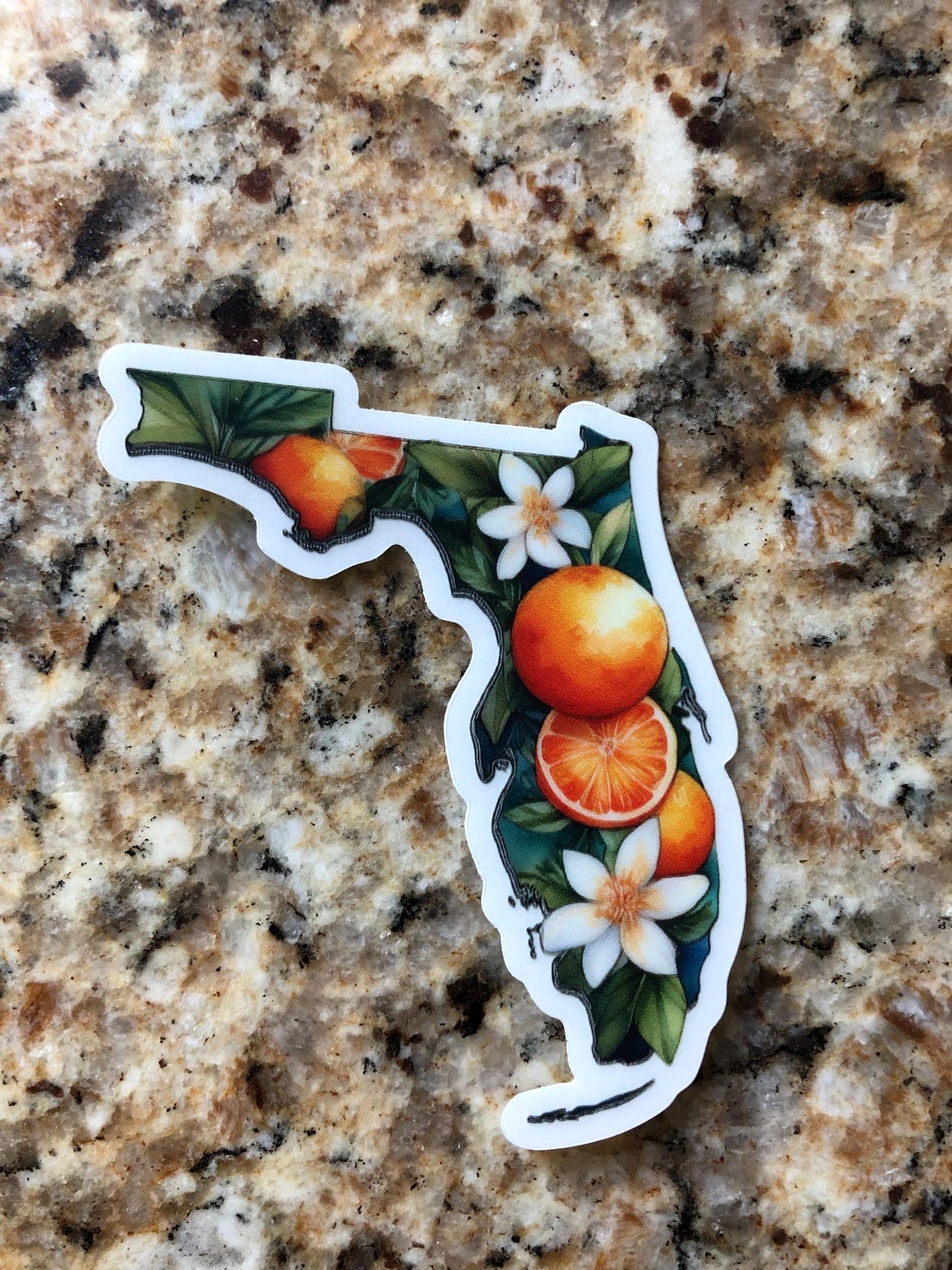 Florida State Outline With Oranges and Orange Blossoms With Clear ...