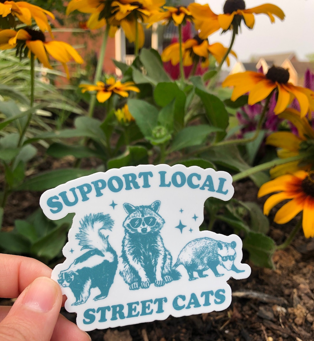 Support Local Street Cats Die Cut Sticker | Raccoon | Skunk | Possum ...