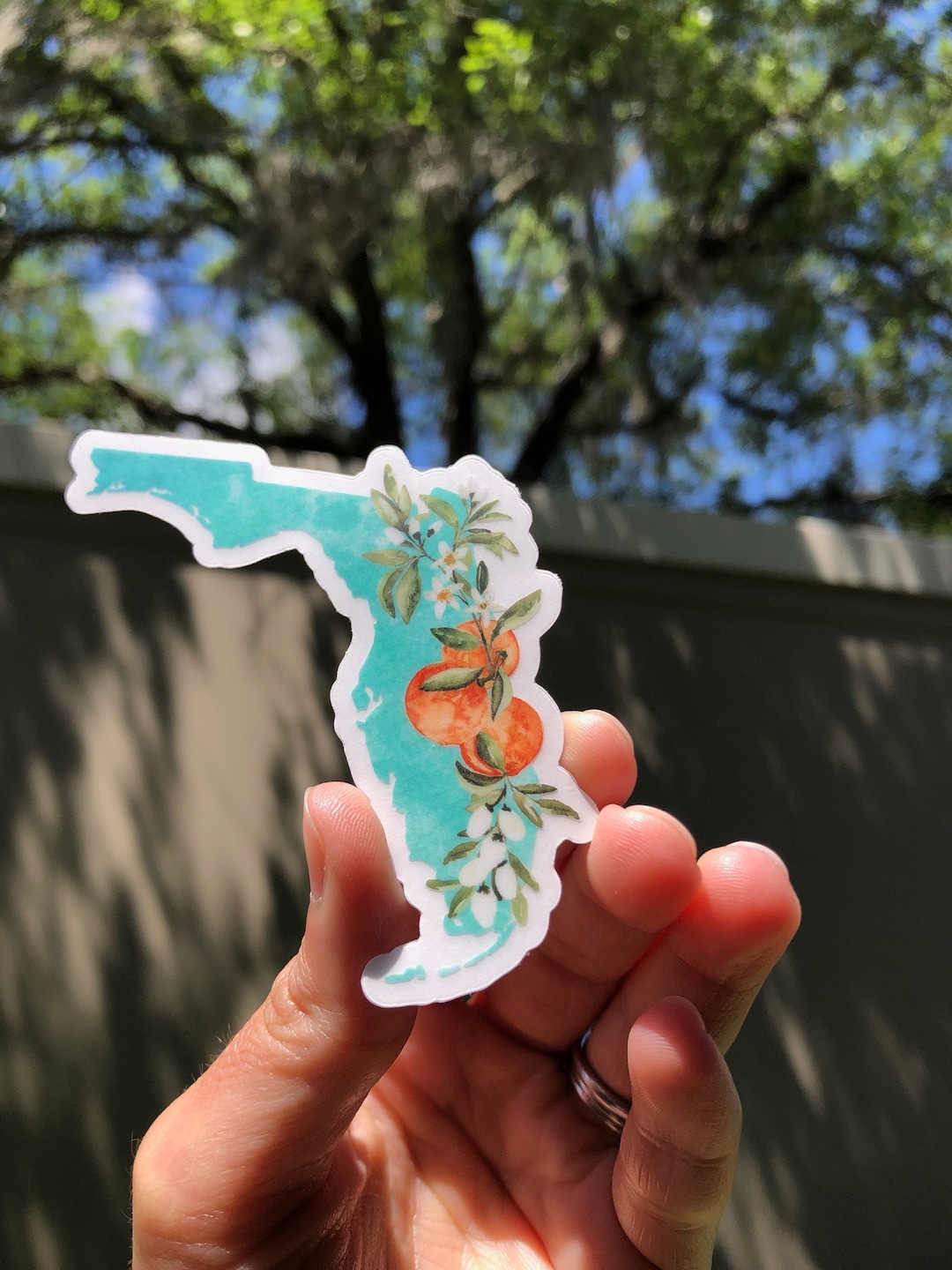 Florida State With Orange Blossom Clear Background Sticker | Floridian ...