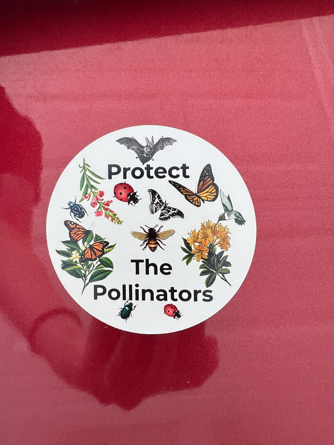 Protect the Pollinators Magnet | Bee Lover | Nature Lover | Car Decal ...