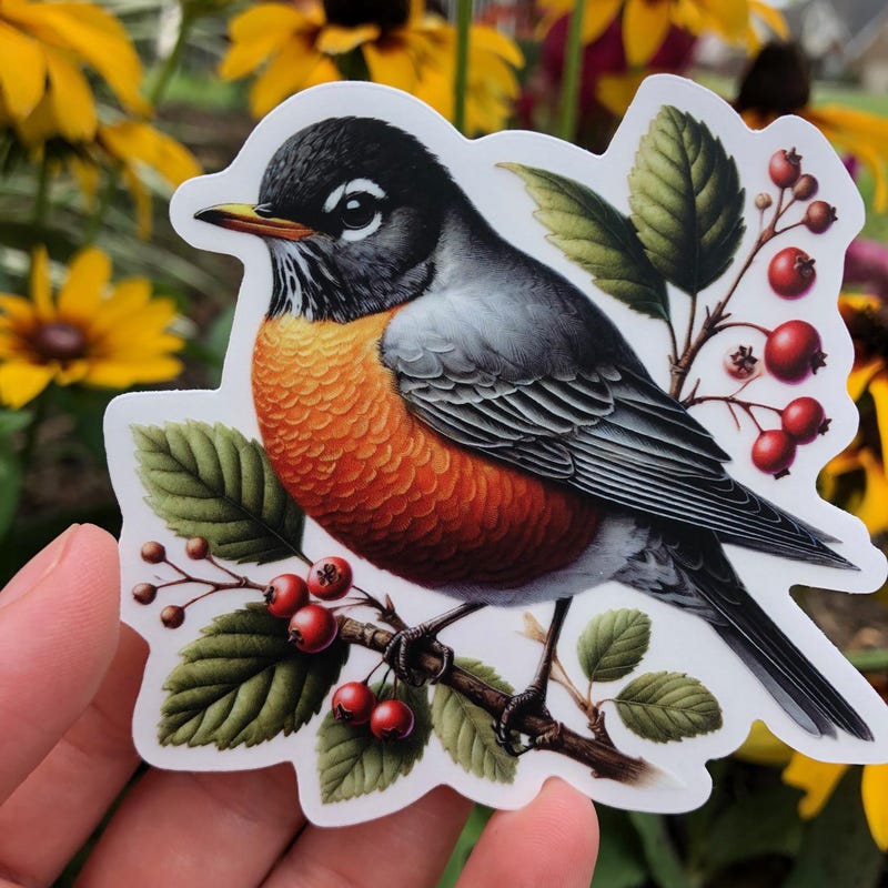 Robin Decal - Etsy