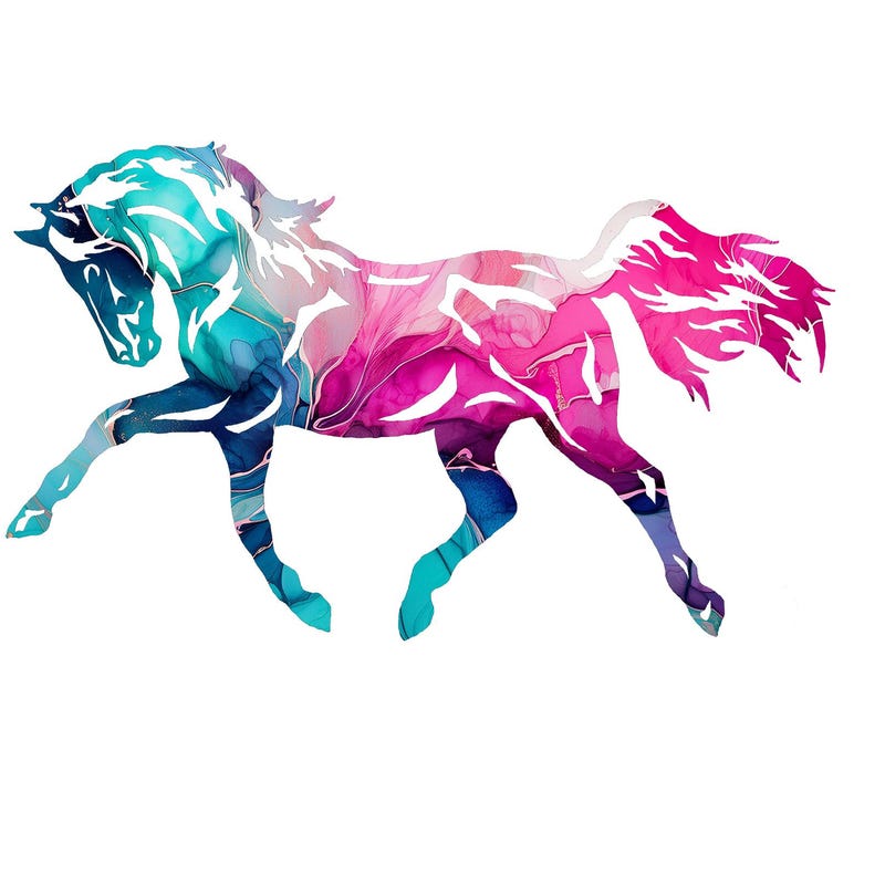 Dressage Decal Car - Etsy UK