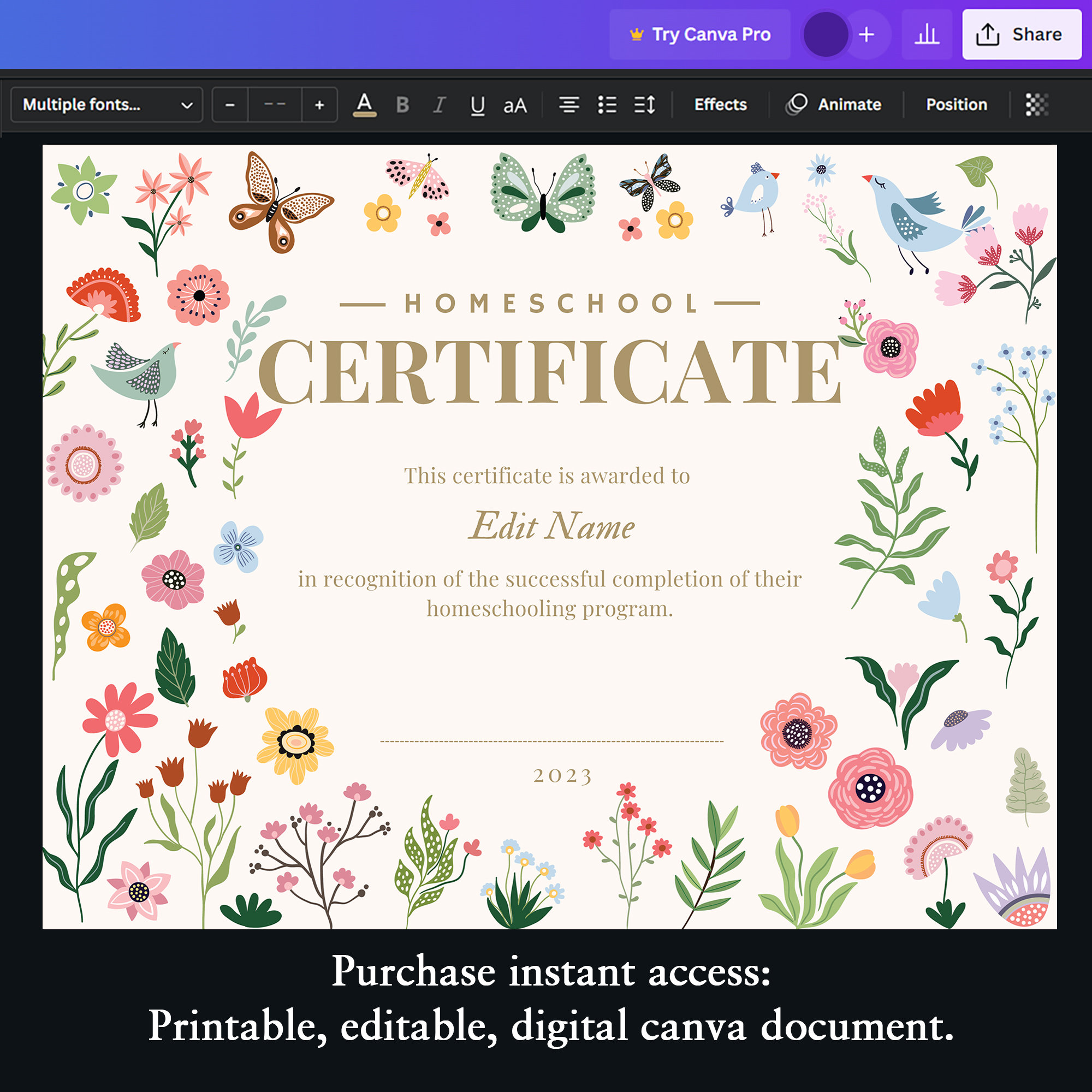 Editable Kindergarten Certificate Template Printable Certificate ...
