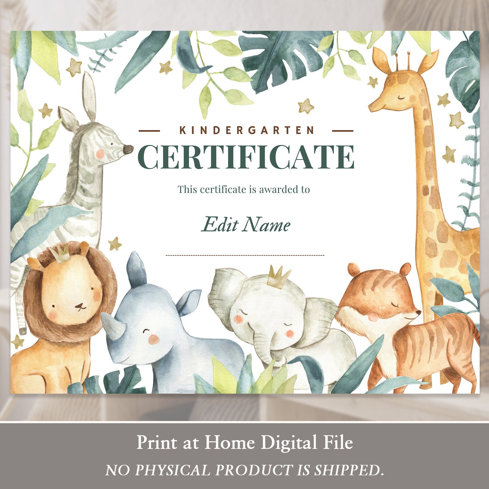 Editable Kindergarten Certificate Template Printable - Etsy