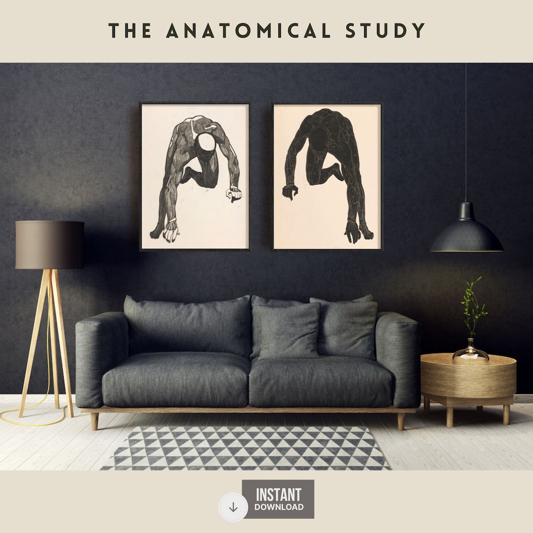 Anatomy Art, Anatomy Decor, Anatomy Wall Art, Anatomy Print, Human ...