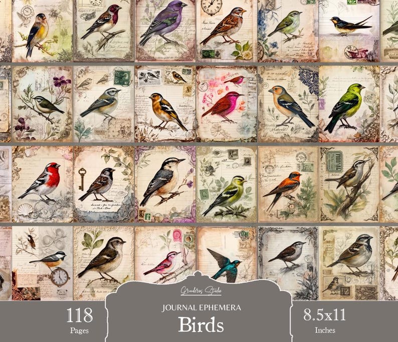 Bird Garden Junk Journal Pages, Spring Bird Ephemera, Printable ...
