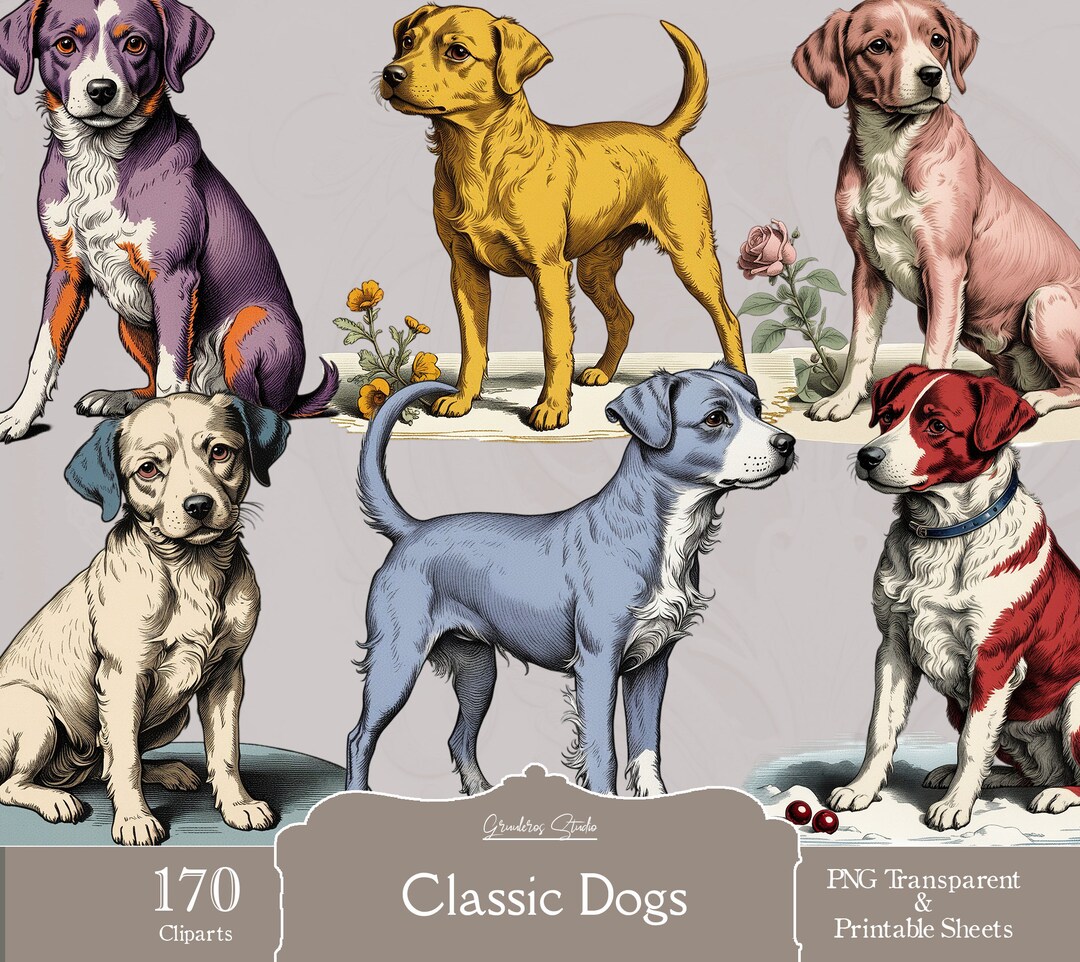 Dog Cliparts, Classic Dogs, 170 PNG, Colored Elegant Dogs, Retro Paws ...