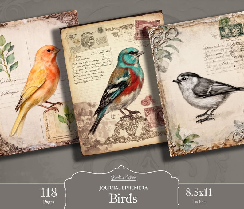 Bird Garden Junk Journal Pages, Spring Bird Ephemera, Printable ...