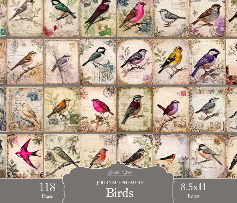 Bird Garden Junk Journal Pages, Spring Bird Ephemera, Printable ...