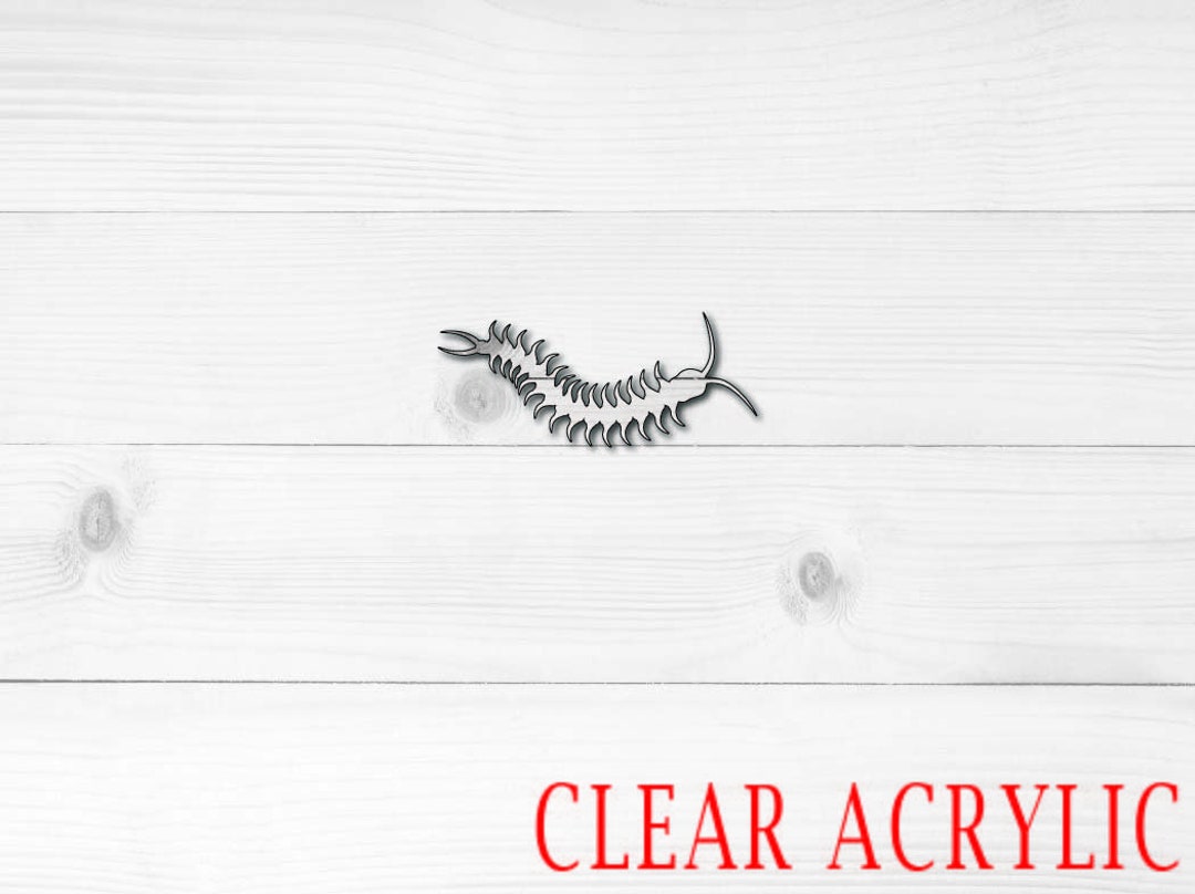 Centipede Acrylic Shape, Clear Acrylic Craft Blank, Colored Acrylic ...