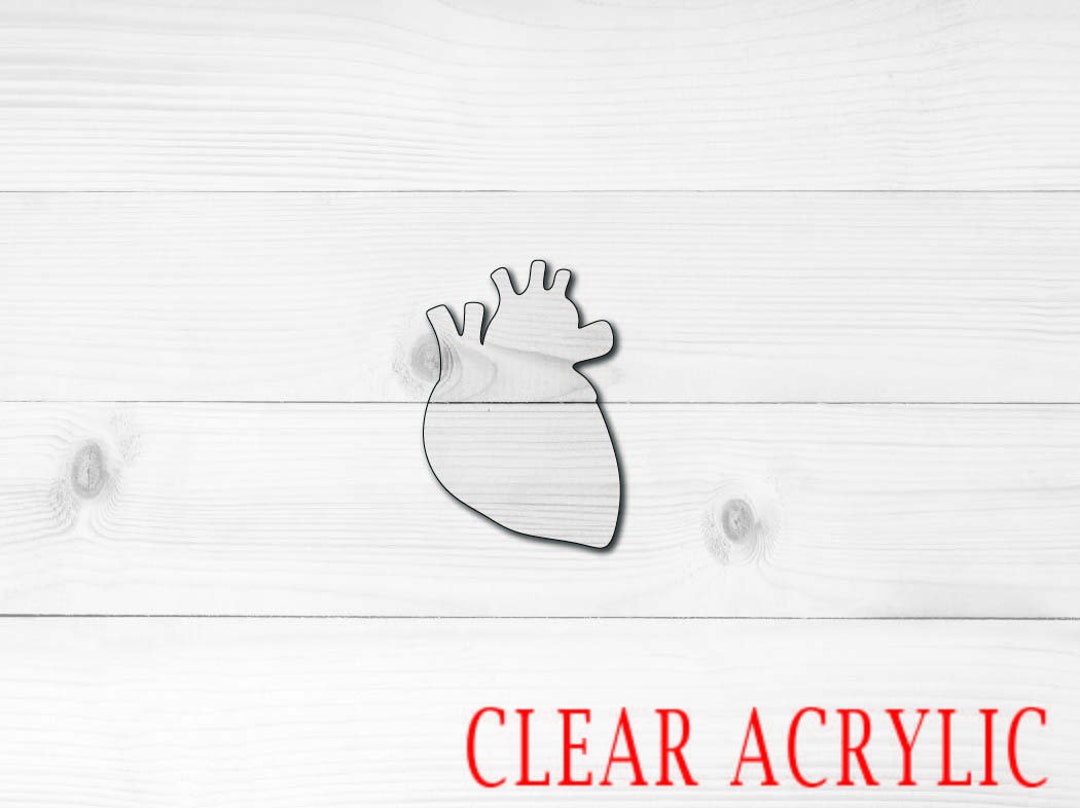 Human Heart Shape, Clear Acrylic Craft Blank, Colored Acrylic Blank - Etsy