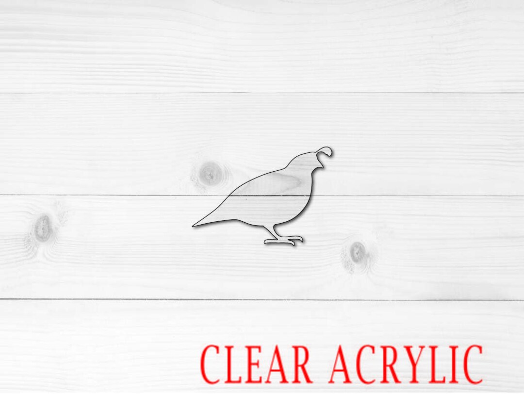 Quail Shape, Clear Acrylic Craft Blank, Colored Acrylic Blank - Etsy