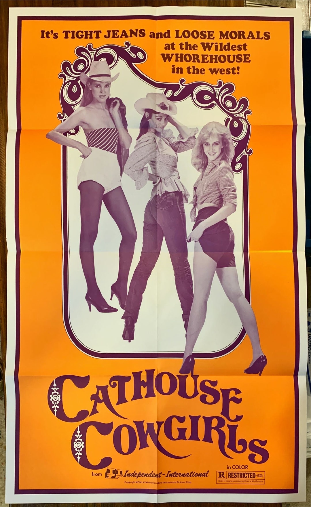 1515 Cathouse Cowgirls- One-sheet Movie Poster R82 - Etsy