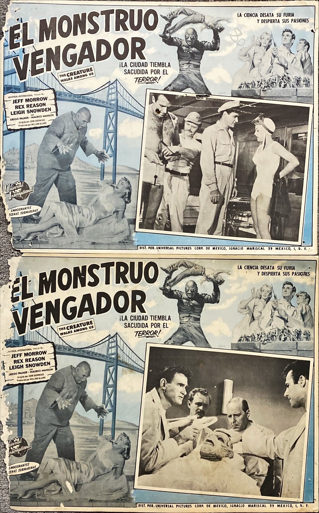 Creature Walks Among Us (1956) 2x Lobby Cards - MX - Etsy