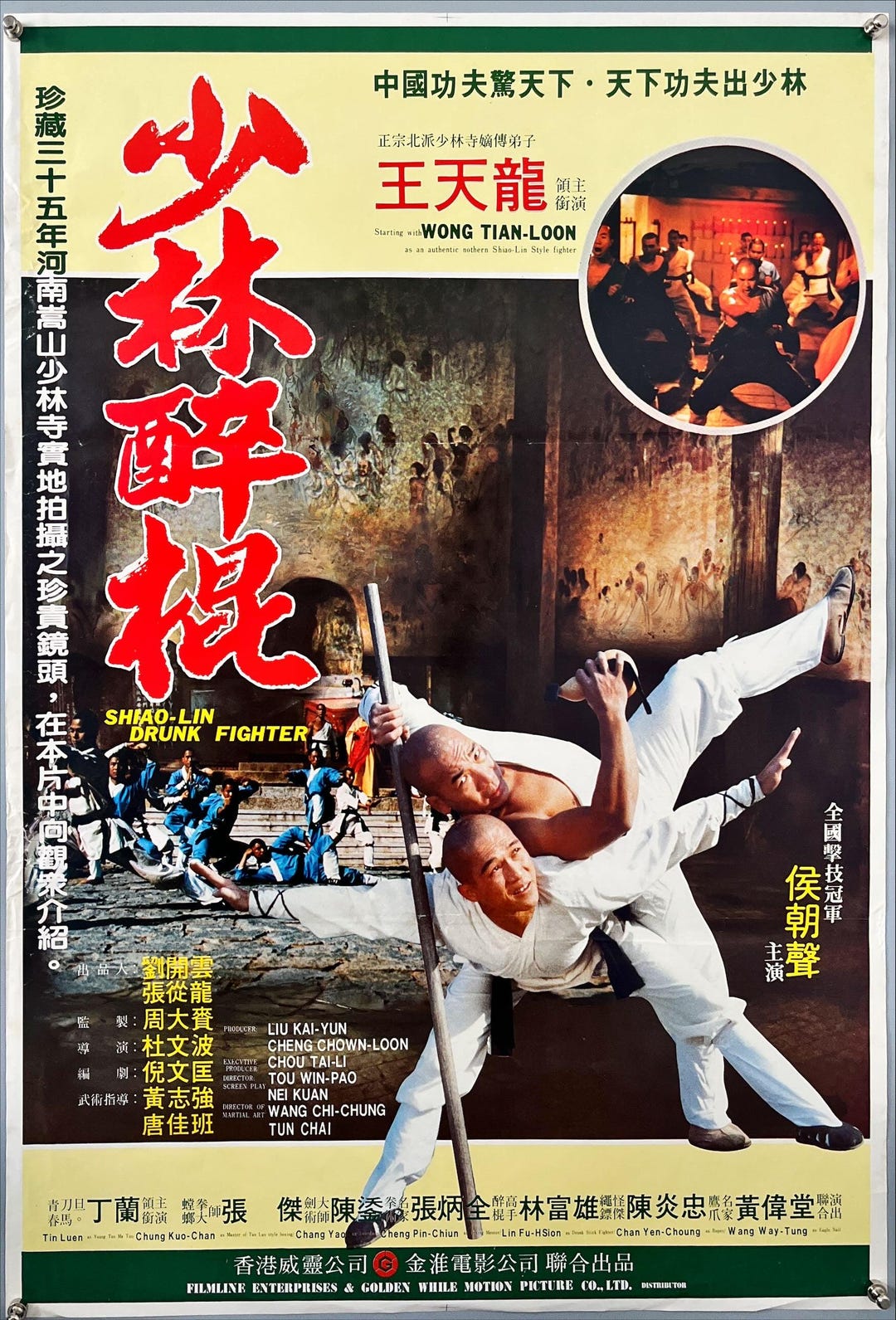 Shao Lin Drunk Fighter (1983) Chinese Movie Poster - Etsy