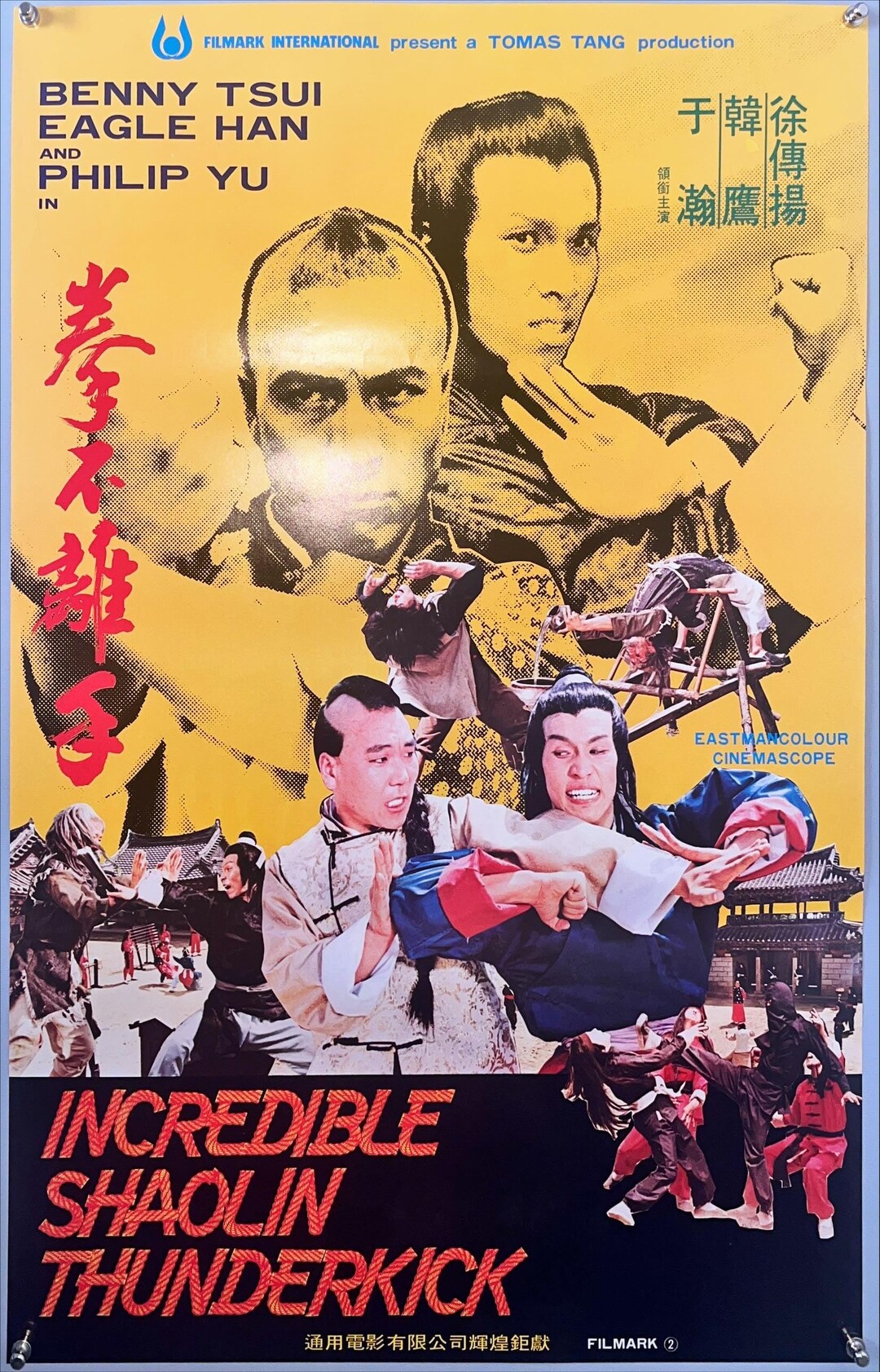Incredible Shaolin Thunderkick (1984) Chinese Movie Poster - Etsy