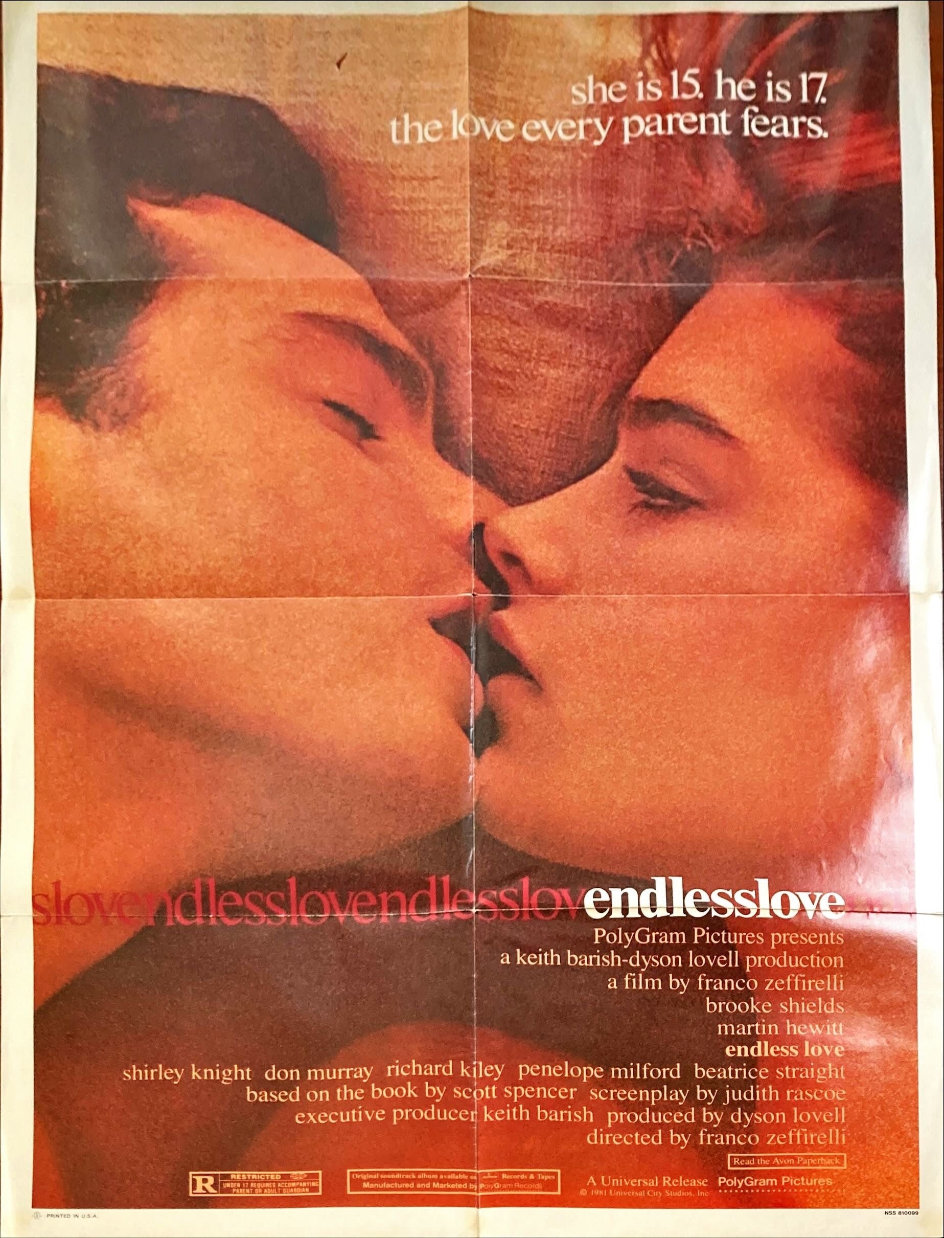 Endless Love 1981 Movie Poster