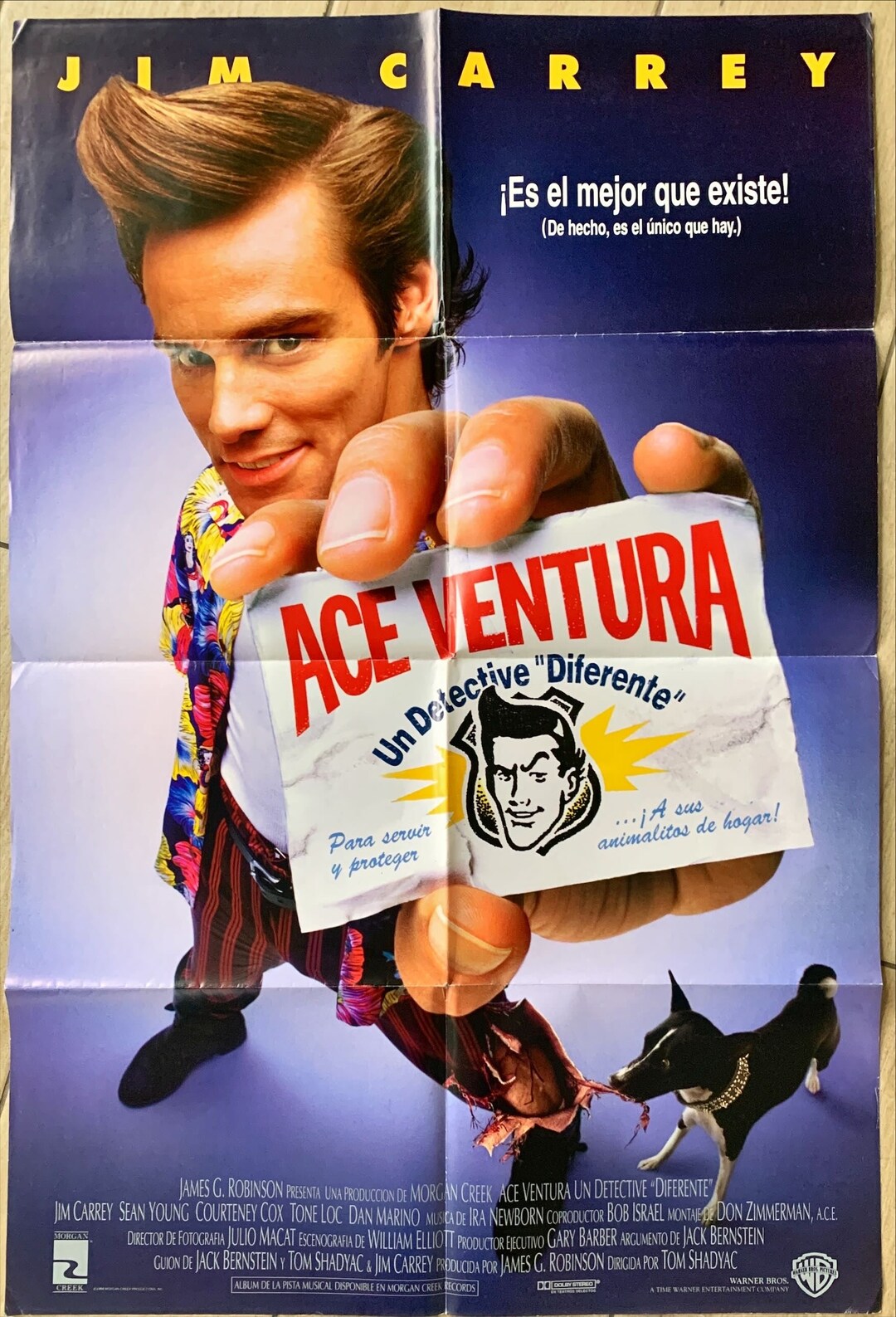 1380 ACE VENTURA Spanish US One-sheet Movie Poster '94 Jim - Etsy