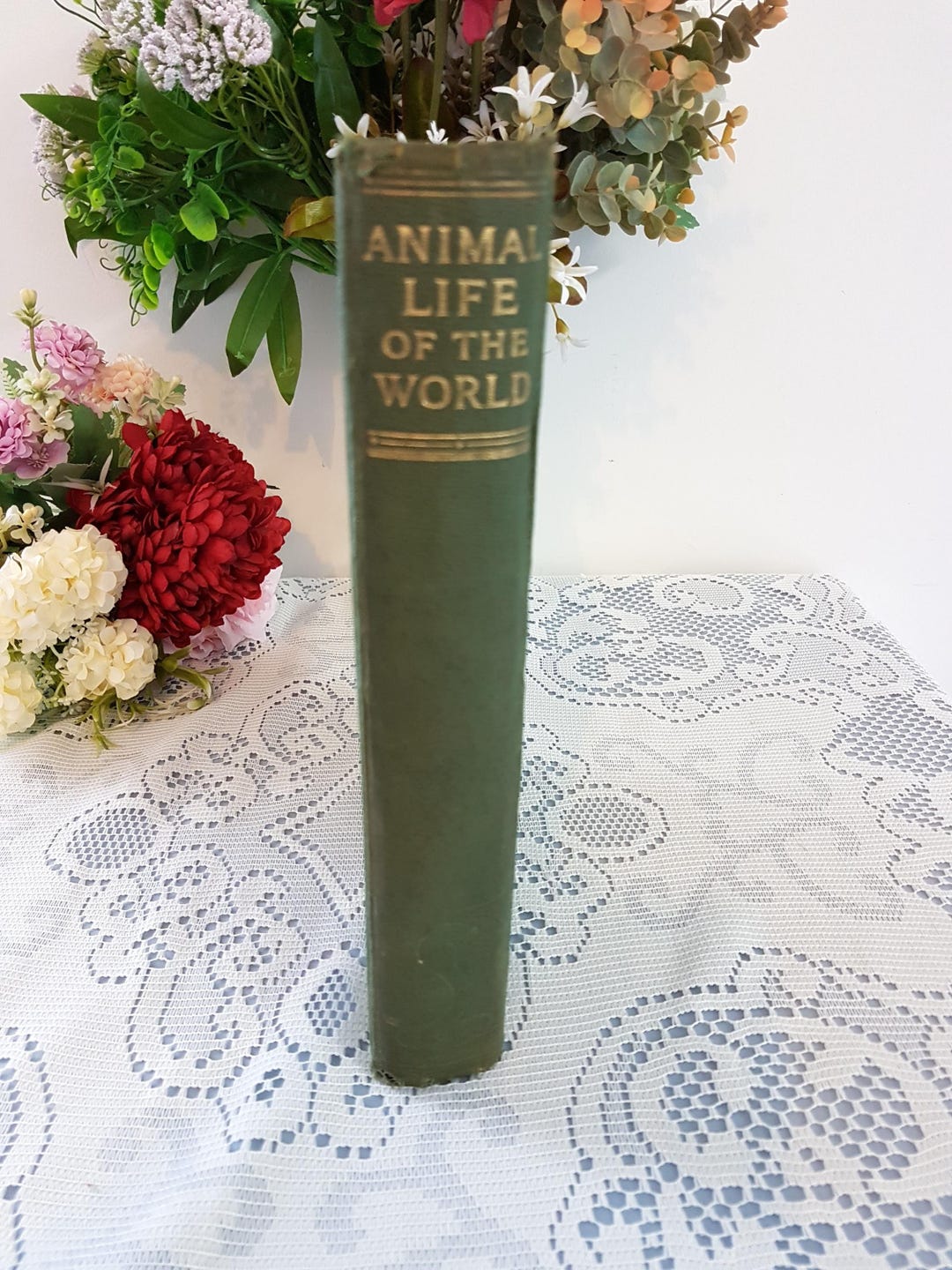 1934 Animal Life of the World: Antiquarian Book, Odhams Press London ...
