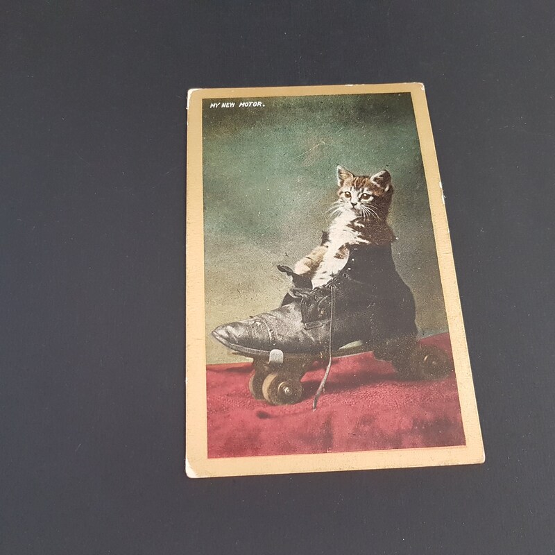 Antique Cat Postcard - Etsy