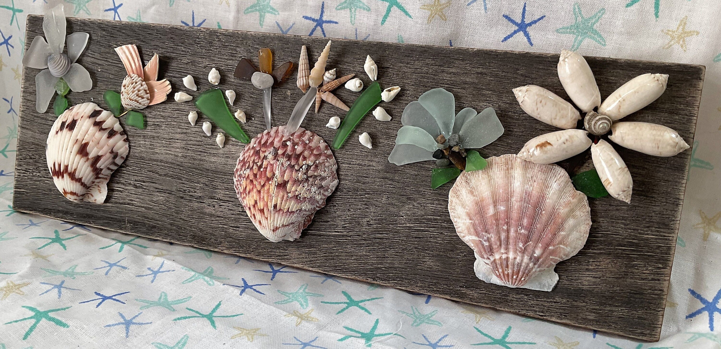 Sea Shell Wall Art - Etsy