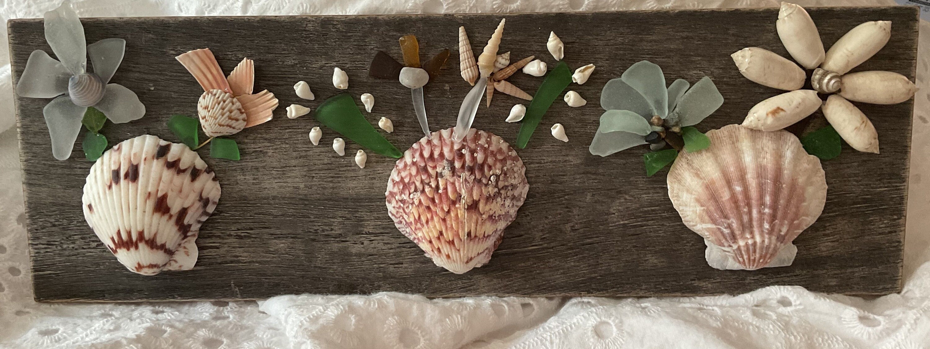 Sea Shell Wall Art - Etsy