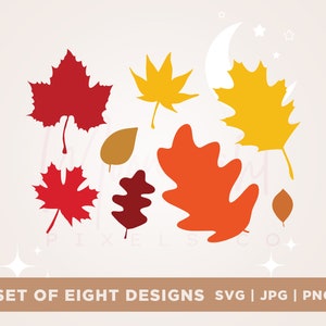 Fall Leaves Svg, Fall Svg, Fall Leaf Svg Bundle, Cricut, Silhouette ...
