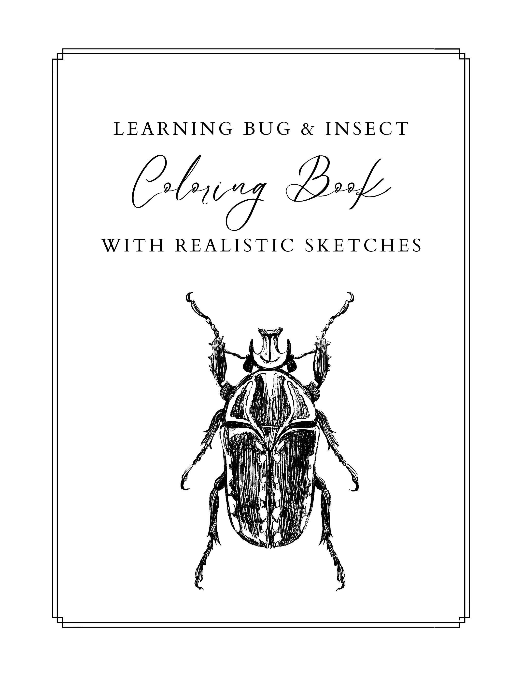 Realistic Bug Coloring Pages