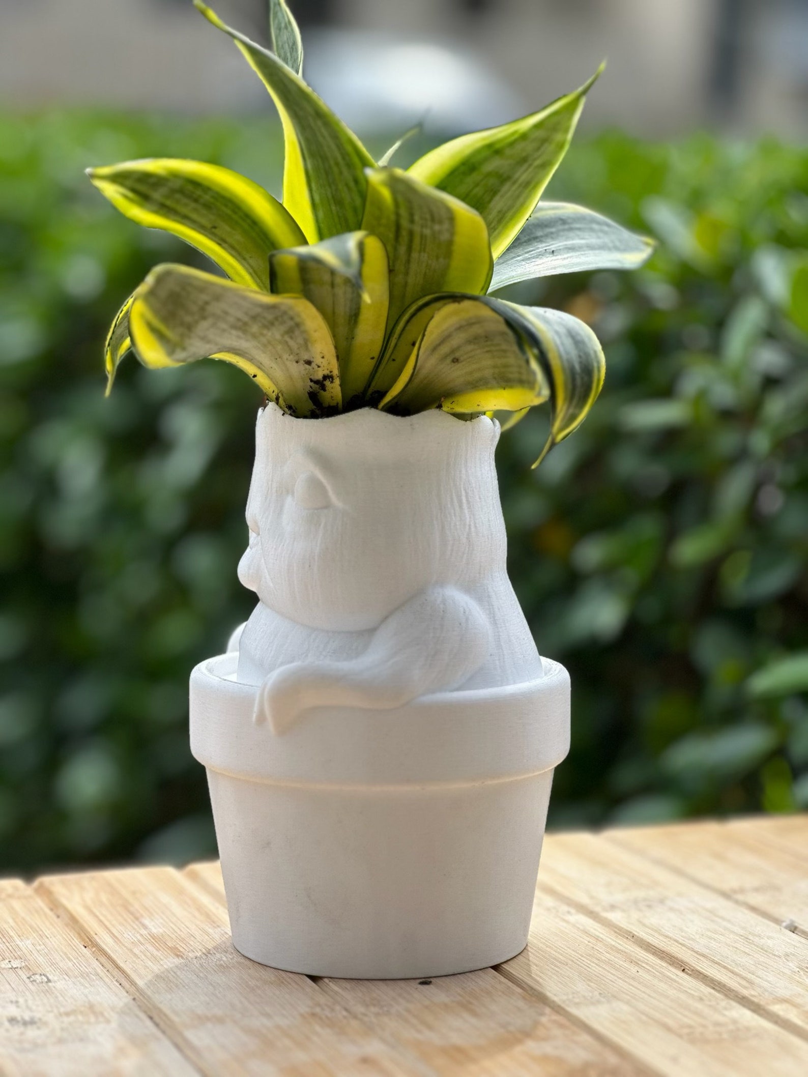 Mandrake 3D Printed Plant Pot Container - H Pot - Wizard Legacy ...
