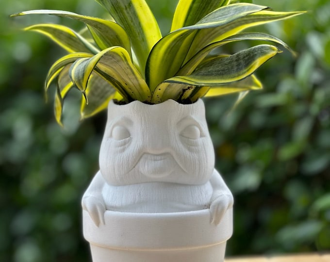 Mandrake 3D Printed Plant Pot Container Harry Potter Hogwarts Legacy ...