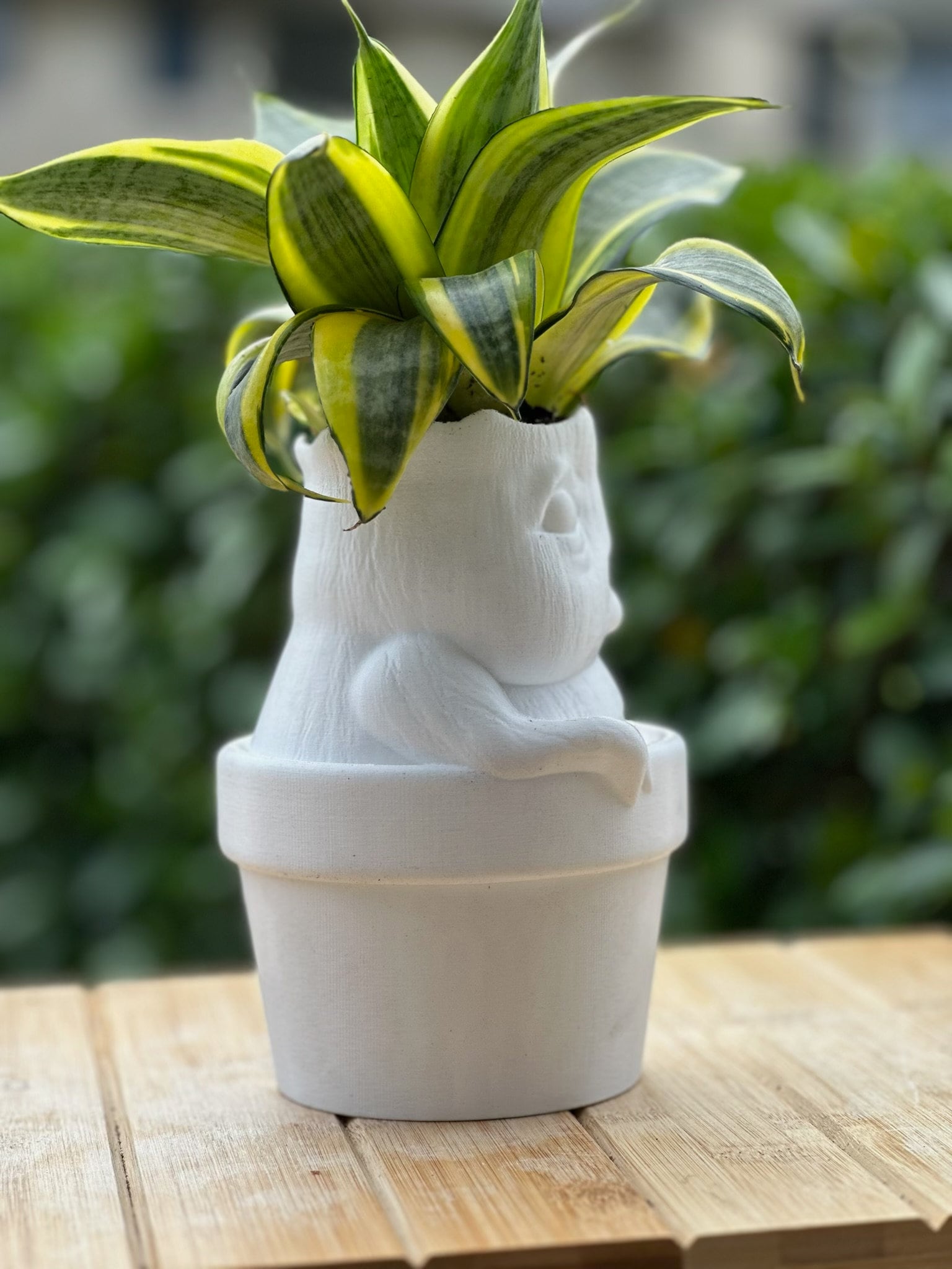 Mandrake 3D Printed Plant Pot Container - H Pot - Wizard Legacy ...