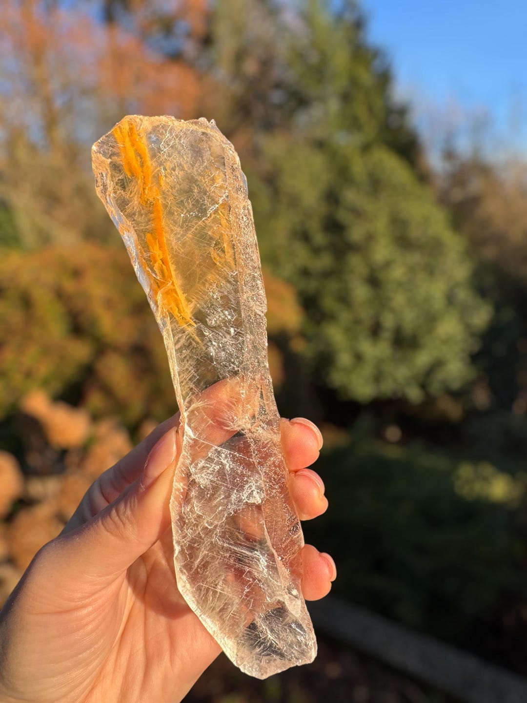 Raw Golden Phantom Selenite GSB100 - Etsy
