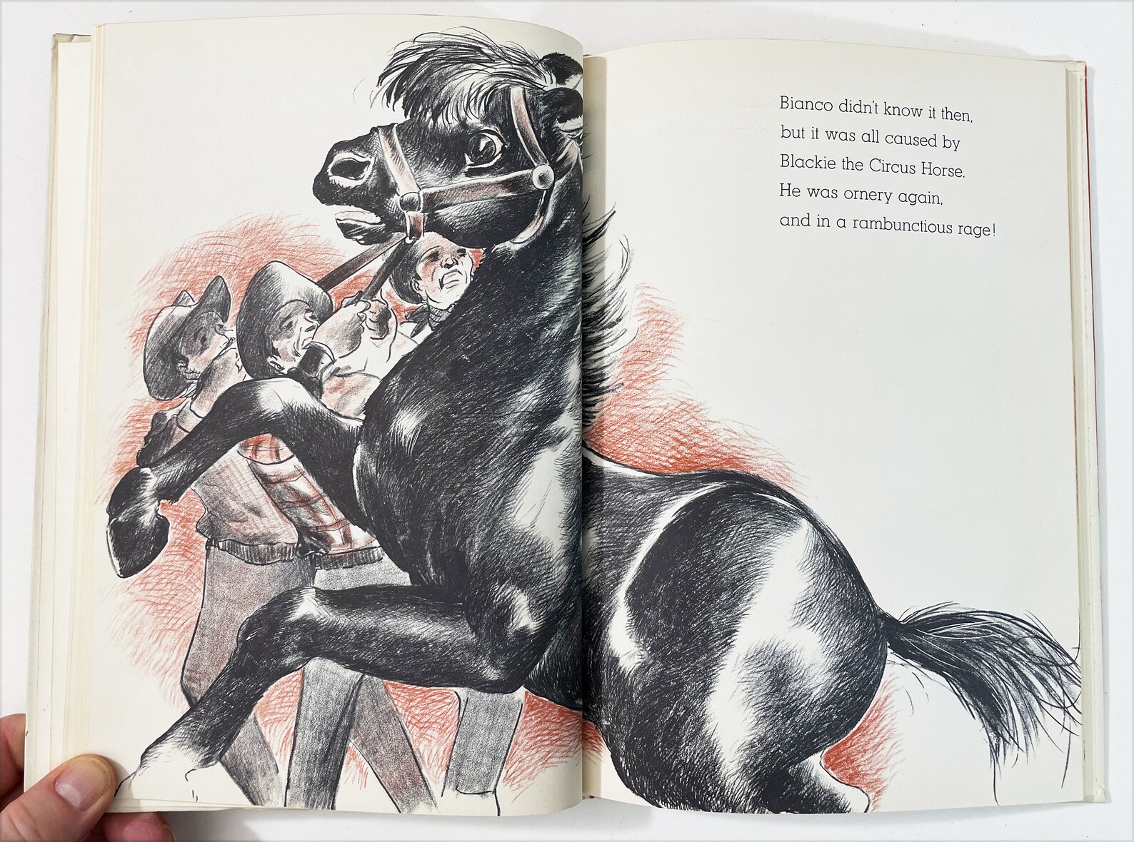 Bianco and the New World - 1957 - Vintage Children's Book - Etsy