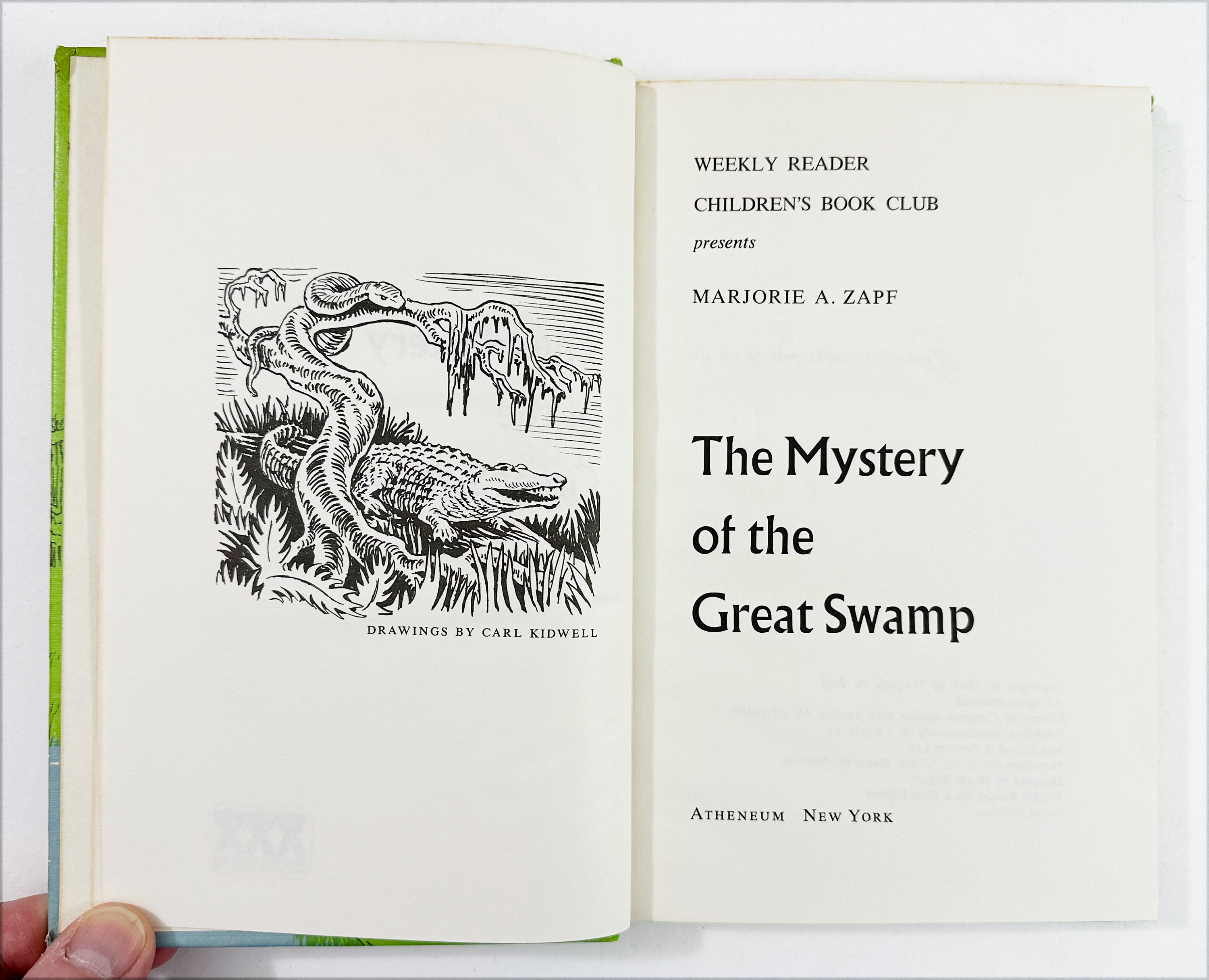 The Mystery of the Great Swamp 1967 Vintage Children's Book - Etsy