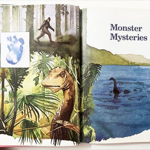 Childcraft Series 1980s Vintage Children's Books Choose Your Title - Etsy