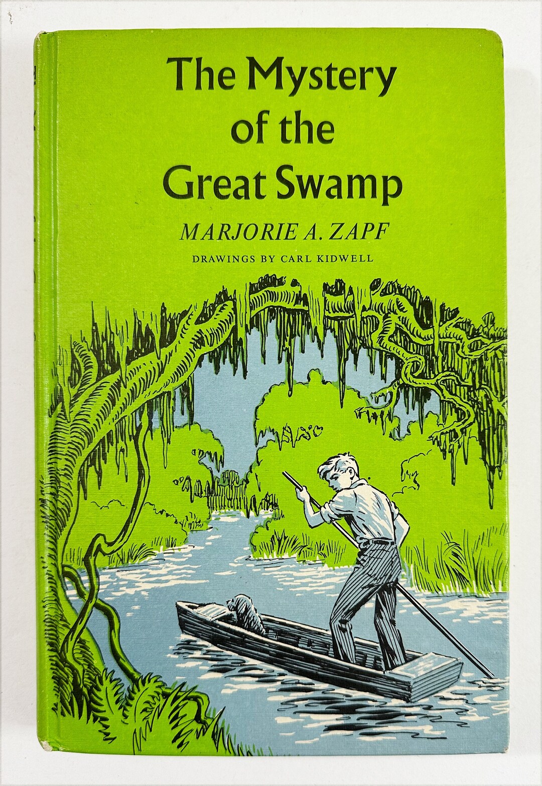 The Mystery of the Great Swamp 1967 Vintage Children's Book - Etsy