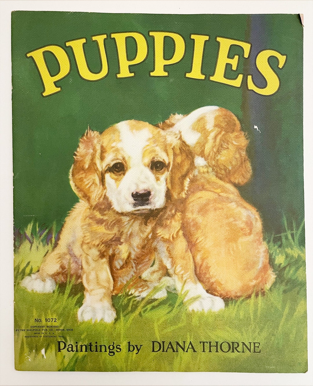 Puppies - Paintings by Diana Thorne - 1935 - Vintage Children's Book - Etsy
