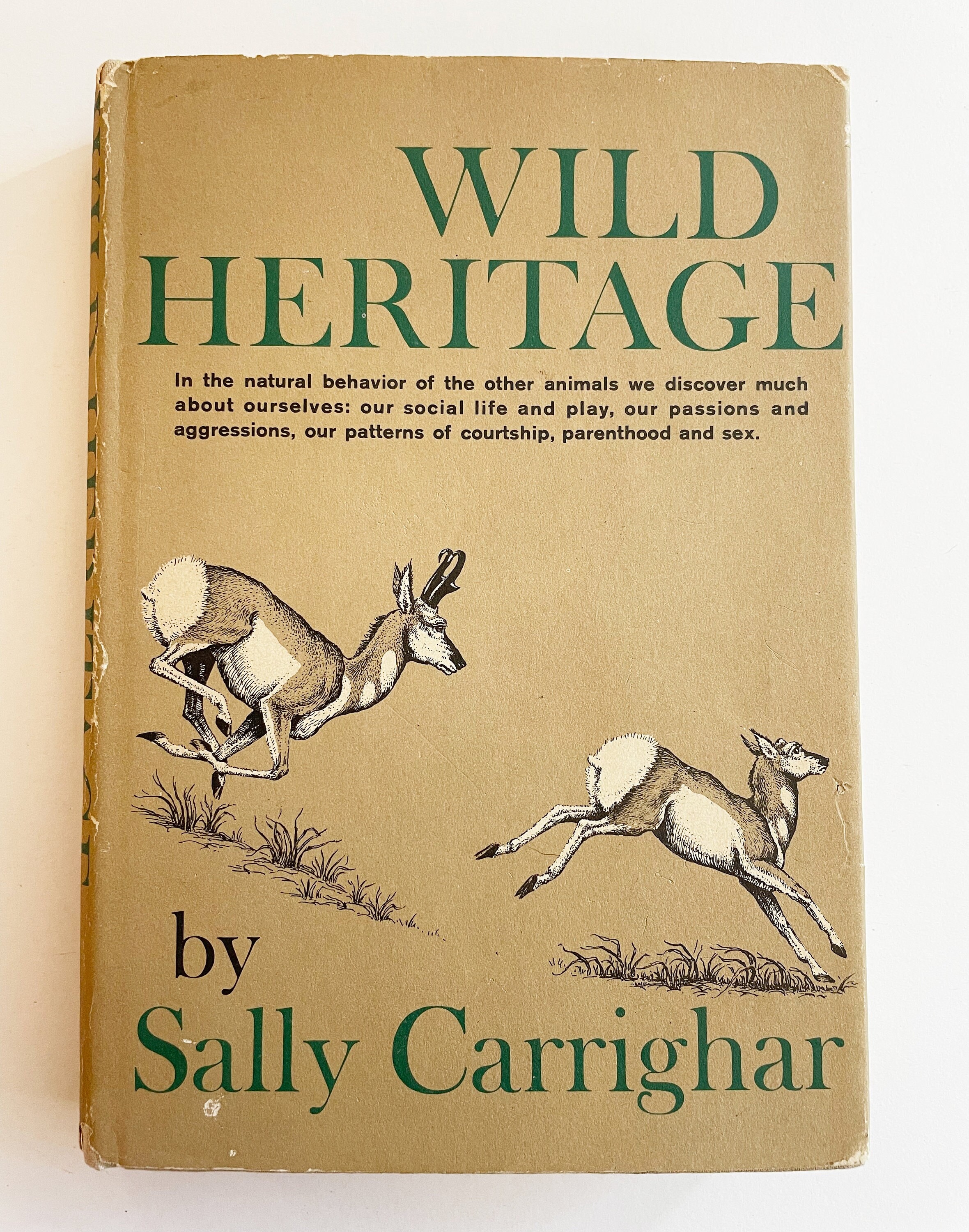 Wild Heritage by Sally Carrighar - 1965 - Vintage Book - Etsy