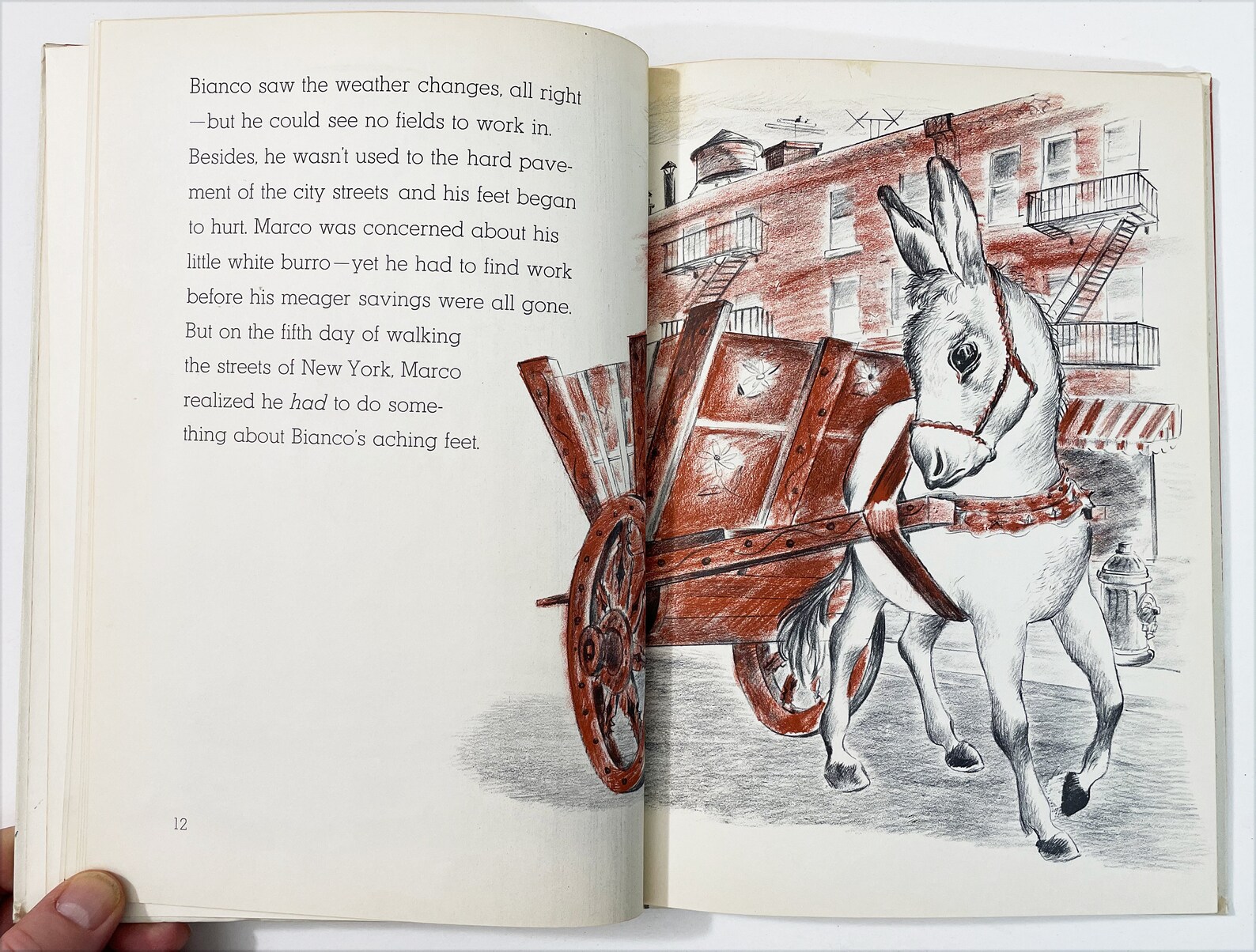 Bianco and the New World - 1957 - Vintage Children's Book - Etsy