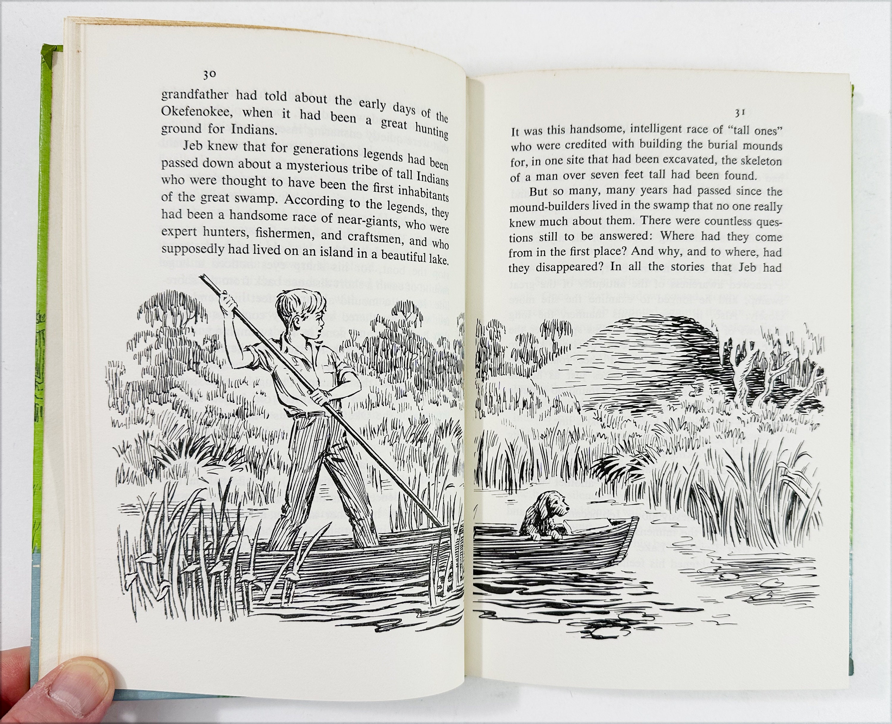 The Mystery of the Great Swamp 1967 Vintage Children's Book - Etsy
