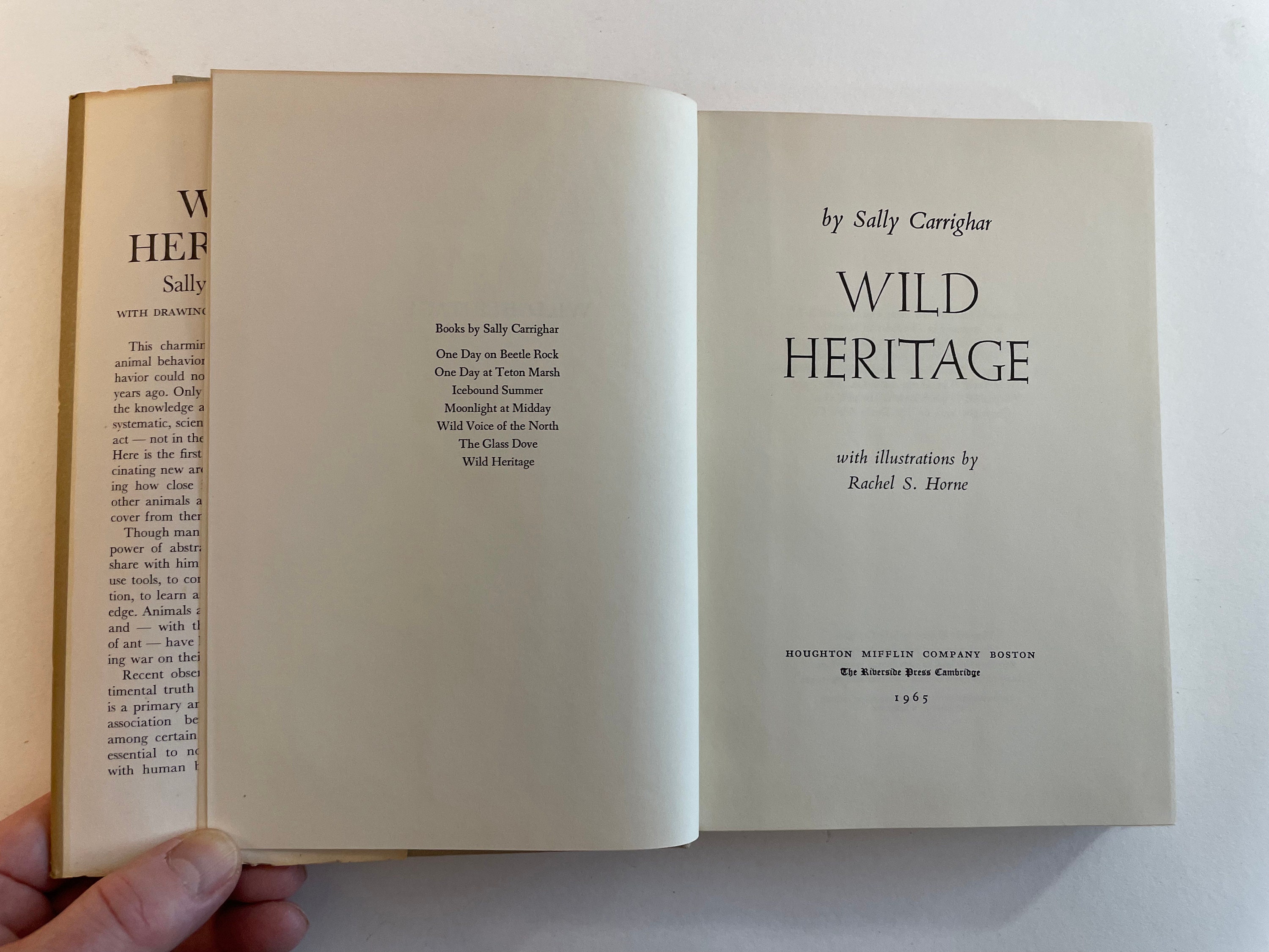 Wild Heritage by Sally Carrighar - 1965 - Vintage Book - Etsy