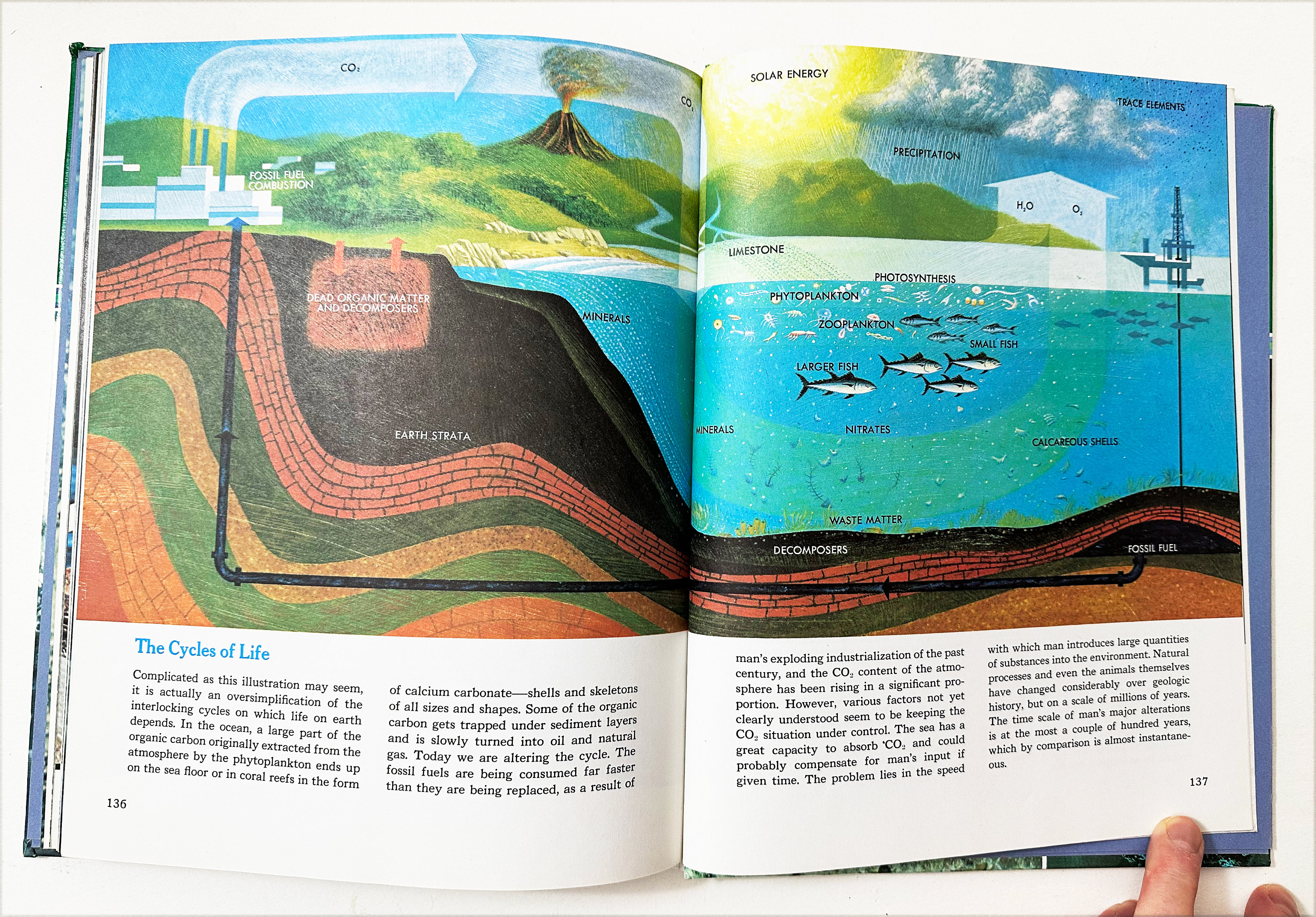 The Ocean World of Jacques Cousteau Vintage Book Series Choose Your ...