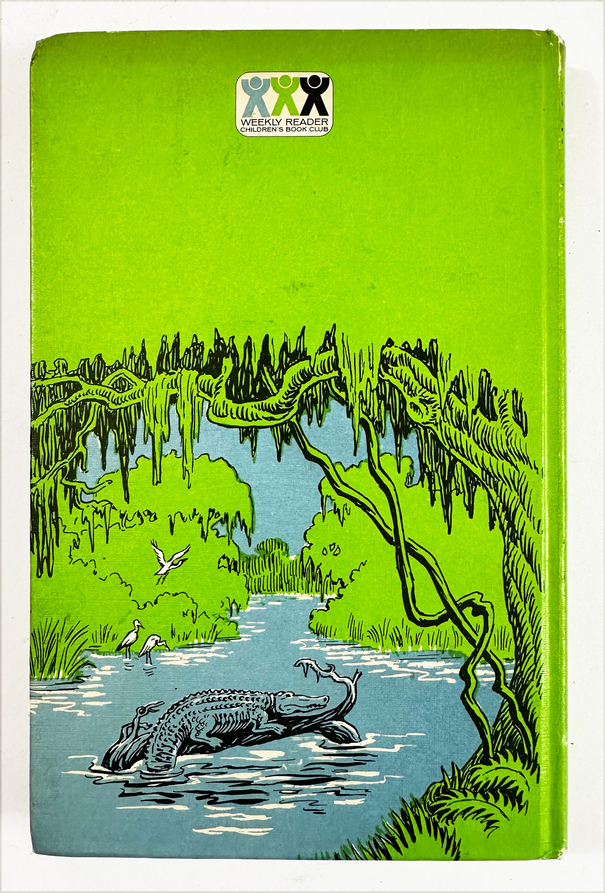 The Mystery of the Great Swamp 1967 Vintage Children's Book - Etsy