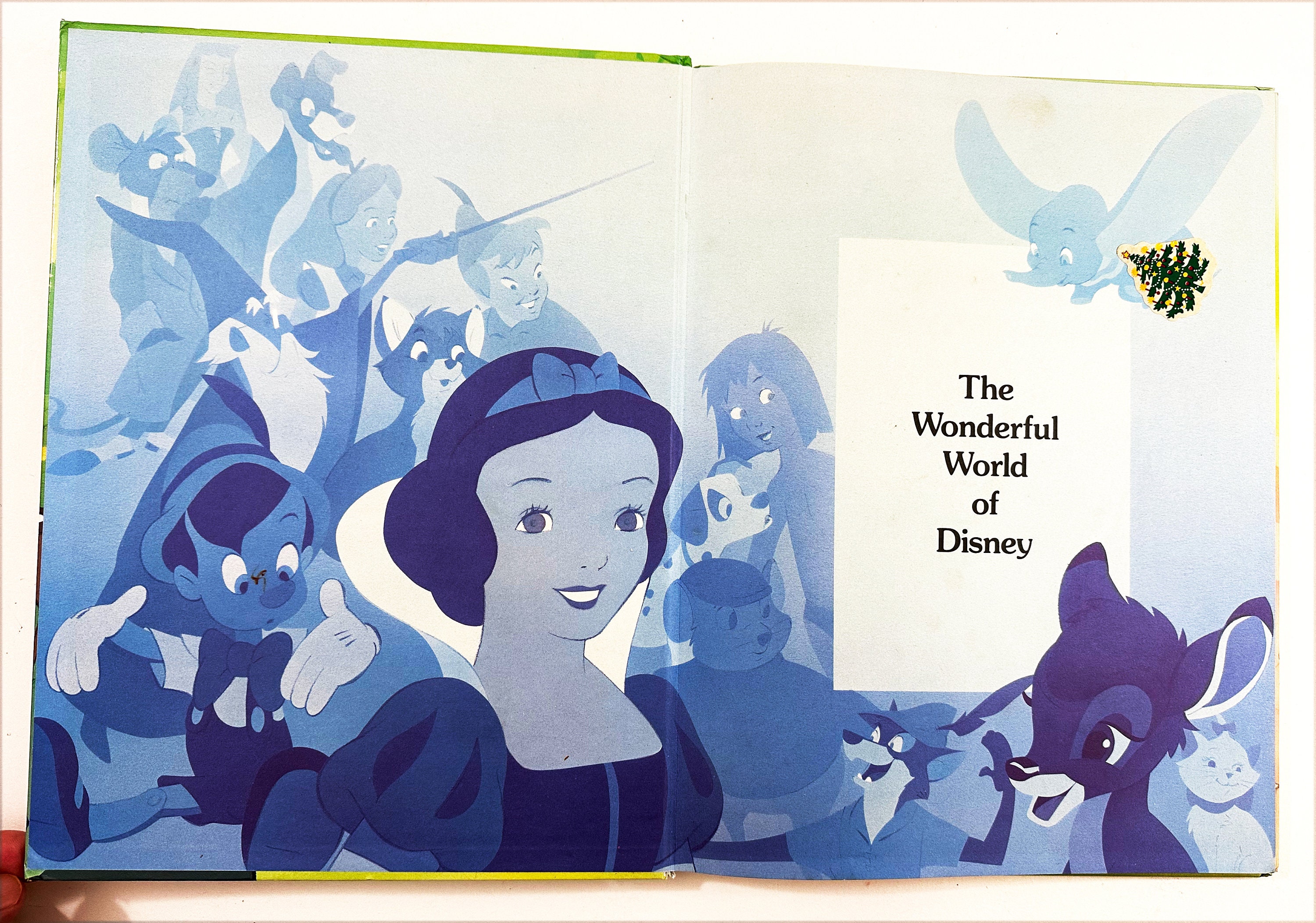 Disney Vintage Book Series 1980's - Etsy