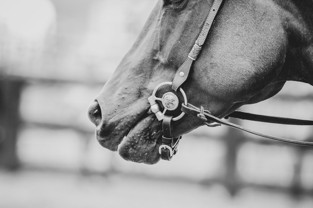 Black and White Western Horse Bit Canvas - Etsy