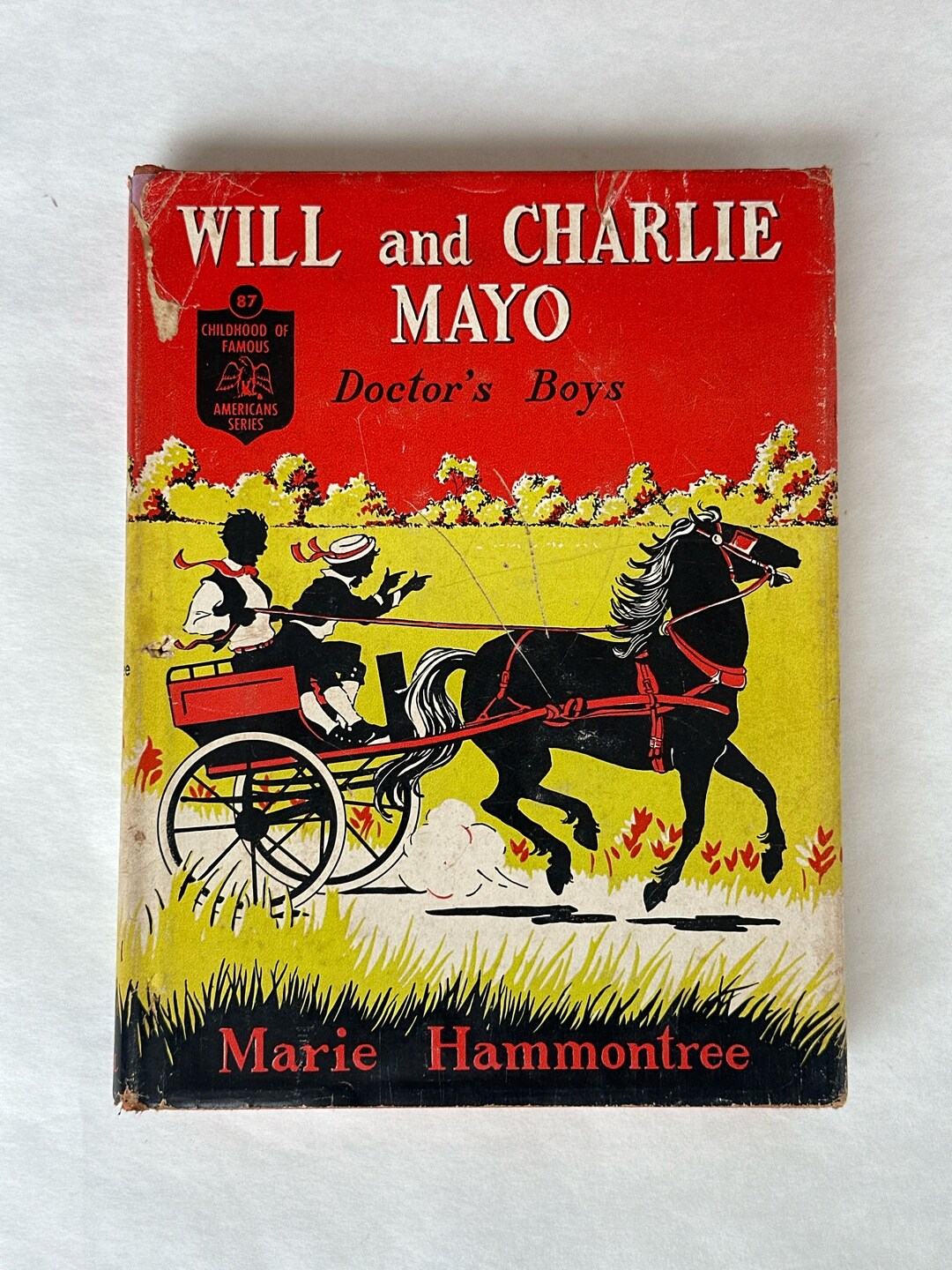 Will and Charlie Mayo, Doctor’s Boys by Marie Hammontree (1954) - Etsy