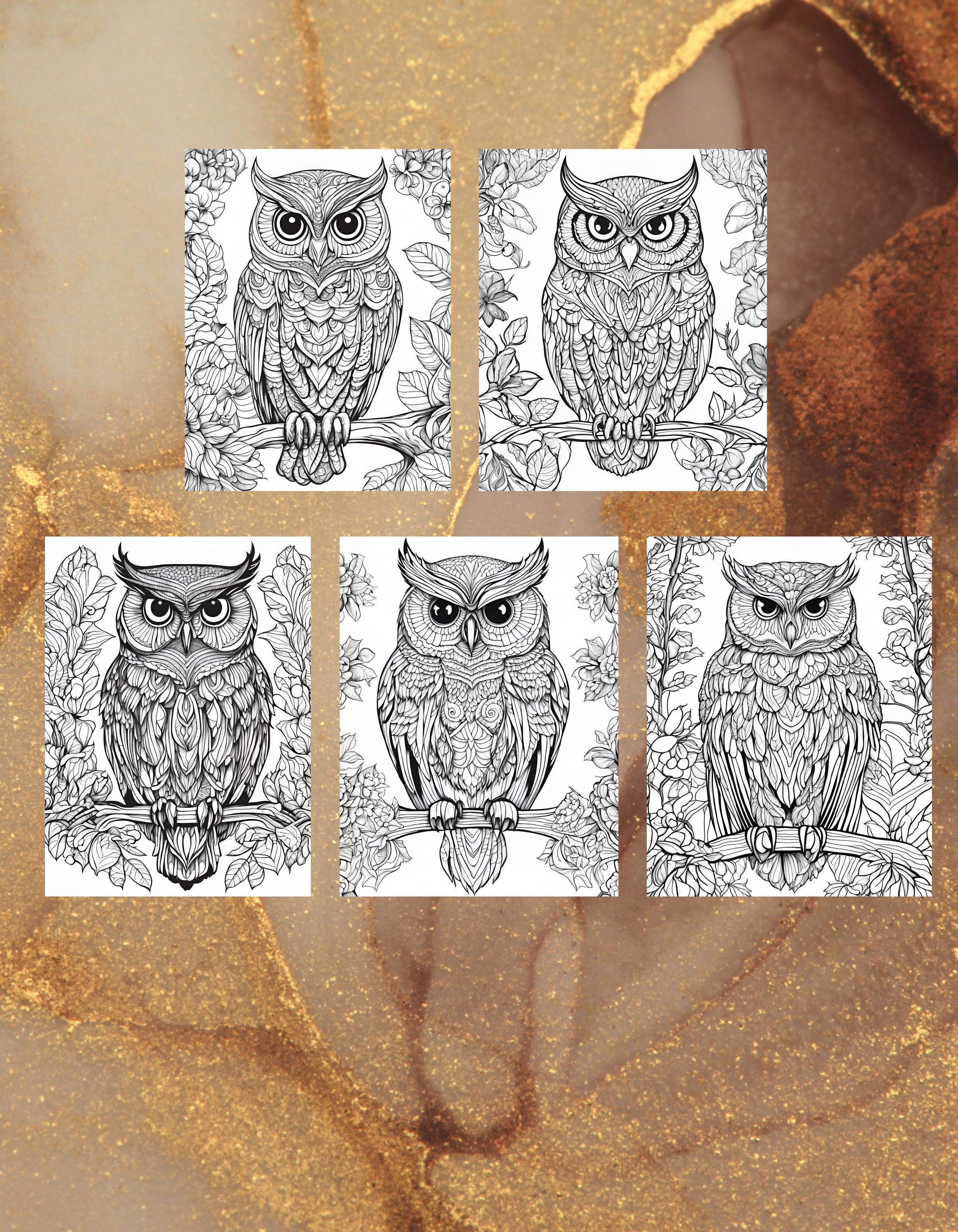 Owl Coloring Book 5 Pages, Owl Coloring Sheets Owls Hoot Owls Woods ...