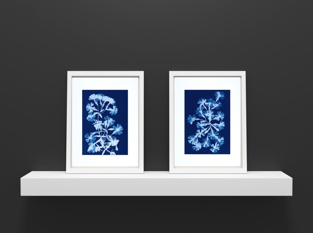 Fine Art Print, Cyanotype, Cyanotype Print, Botanical Art, Art, Nature ...