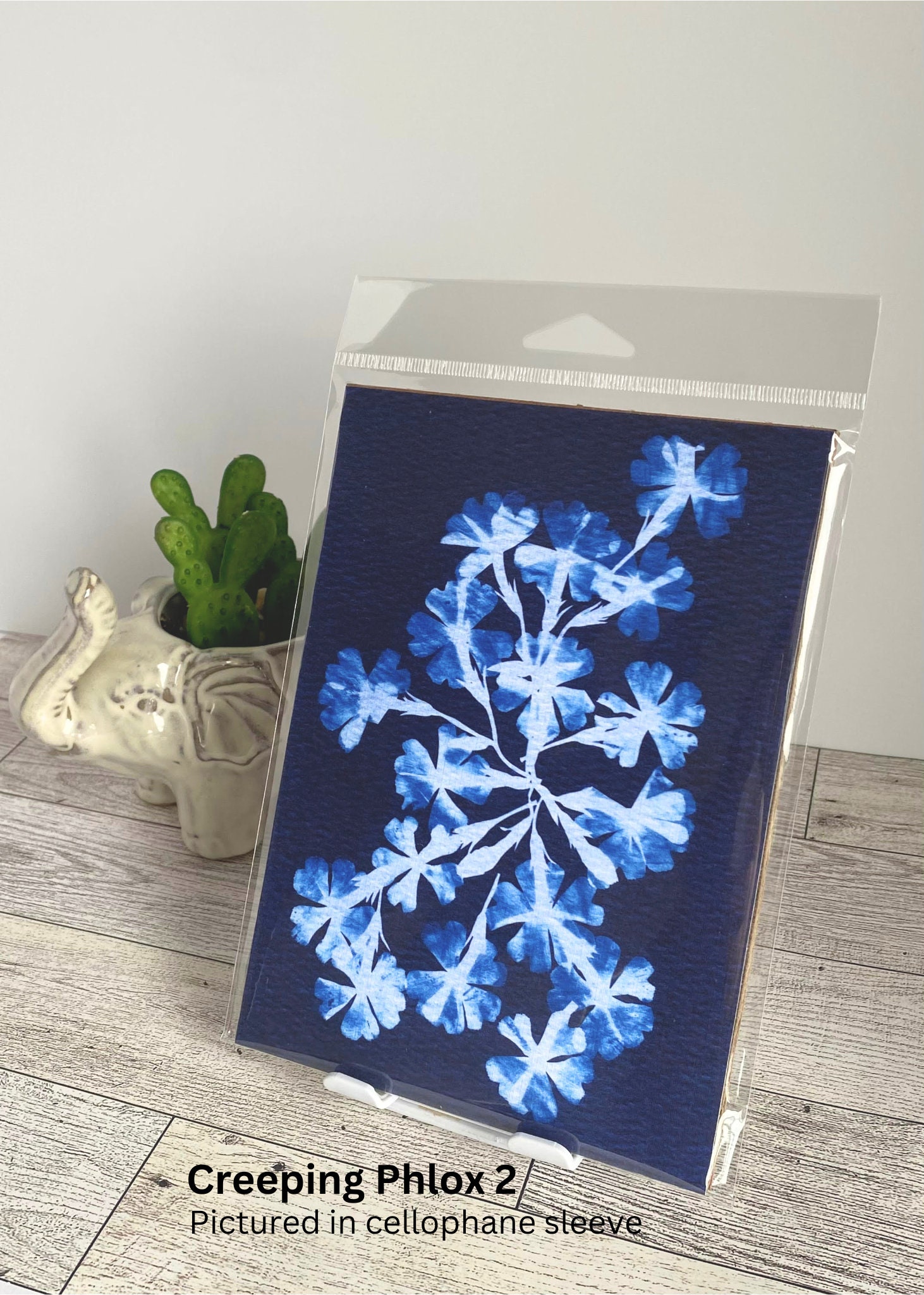 Fine Art Print, Cyanotype, Cyanotype Print, Botanical Art, Art, Nature ...