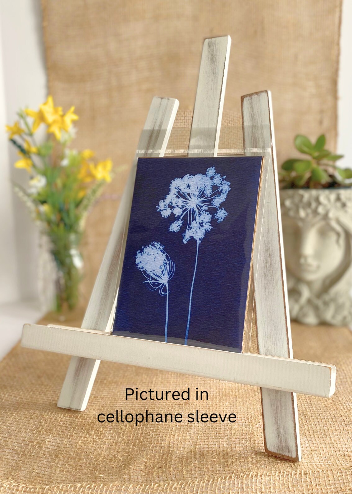Queen Anne's Lace, Cyanotype, Cyanotype Print, Botanical Art, Art ...